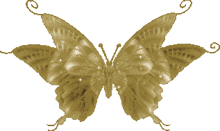 Butterfly (in Animated GIFs)