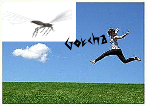 Glitter Graphics: the community for graphics enthusiasts!