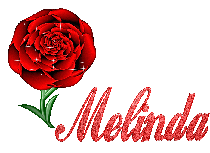 Melissa In Glitter Text